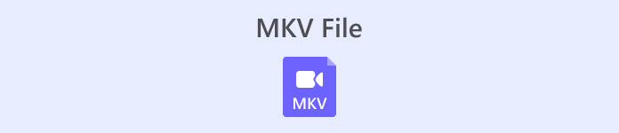 A Full Guide on MKV File Format: All You Should Know